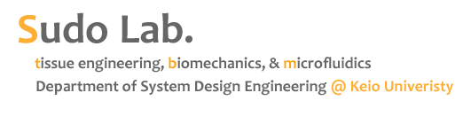 research projects@sudo lab