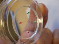 research projects@sudo lab